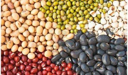 Beans, Beans, Beautiful Beans - Peter's Principles