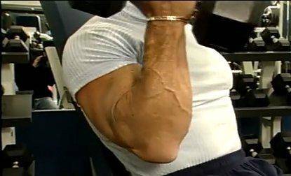 Exercise Basics - Peter's Principles